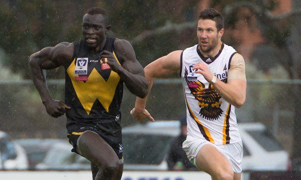 Frawley makes successful return for Box Hill