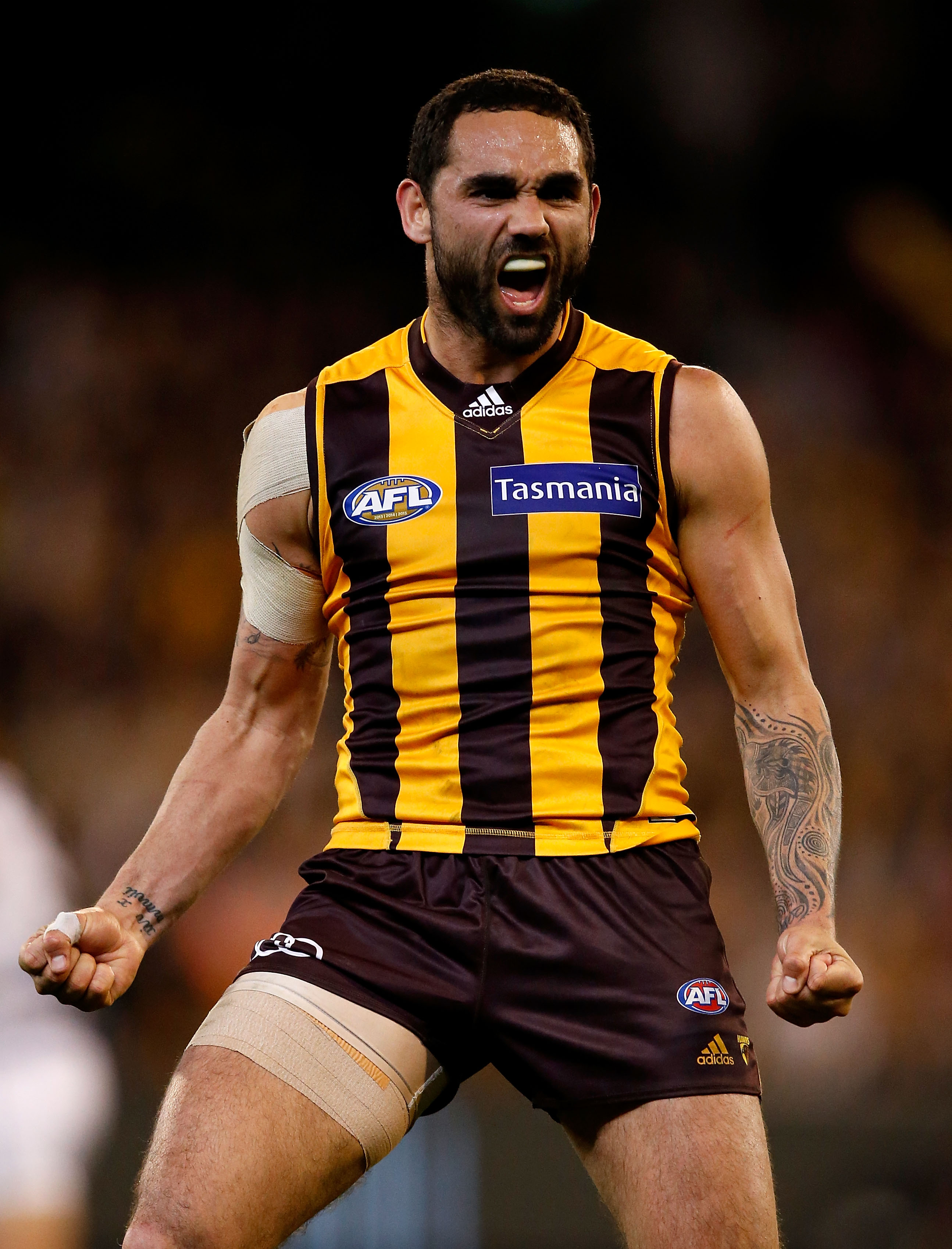 AFL.com.au rate every Hawthorn player