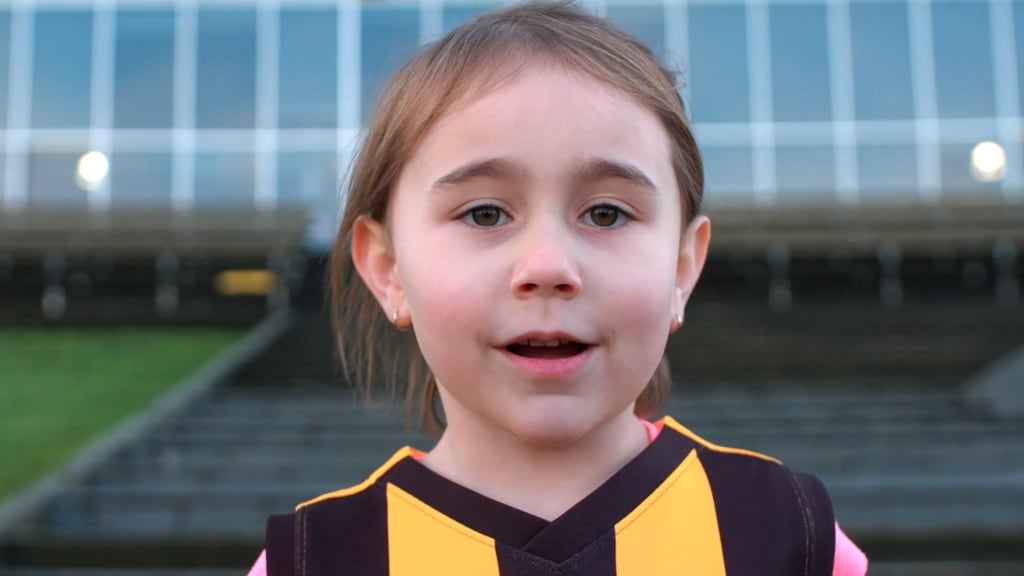 Father/Daughter Hawks 2034