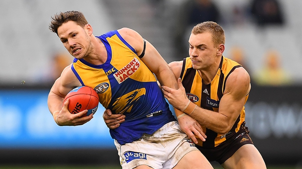 Three Hawks in the votes