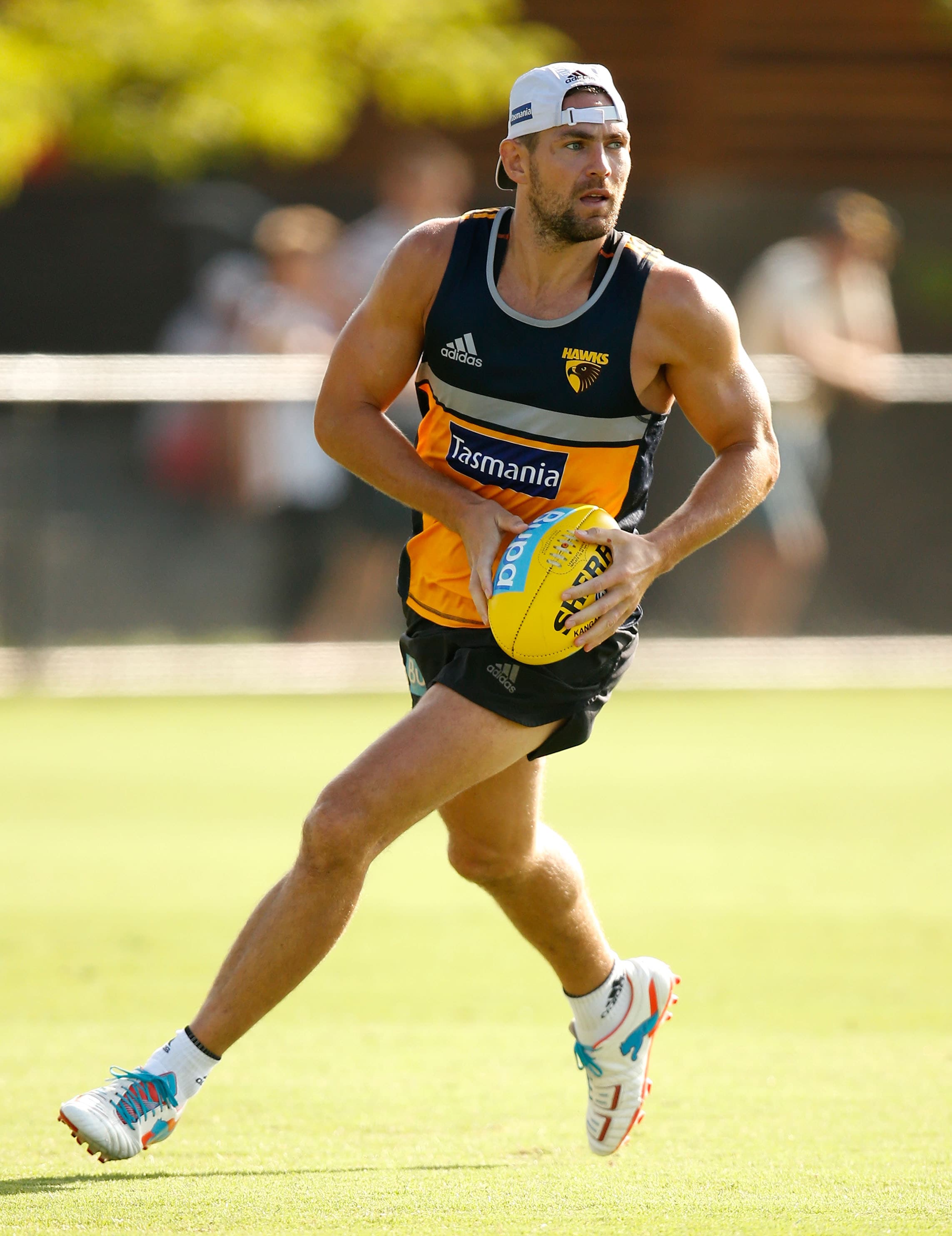Hodge, Hawks ready for Cat challenge