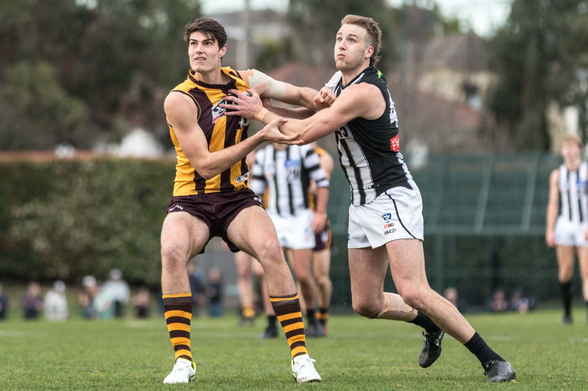 VFL fixture revealed