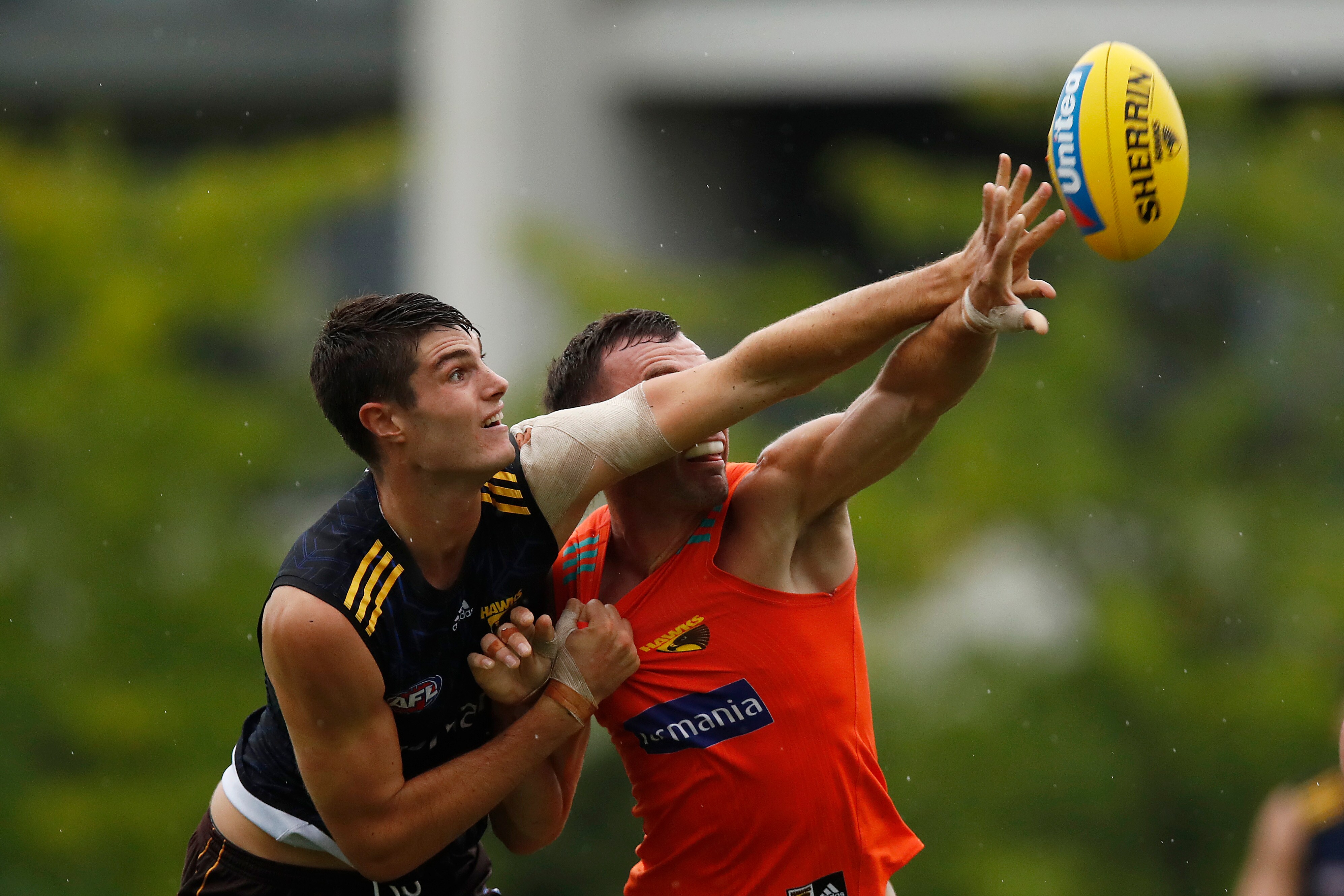 Season Spotlight: Ned Reeves