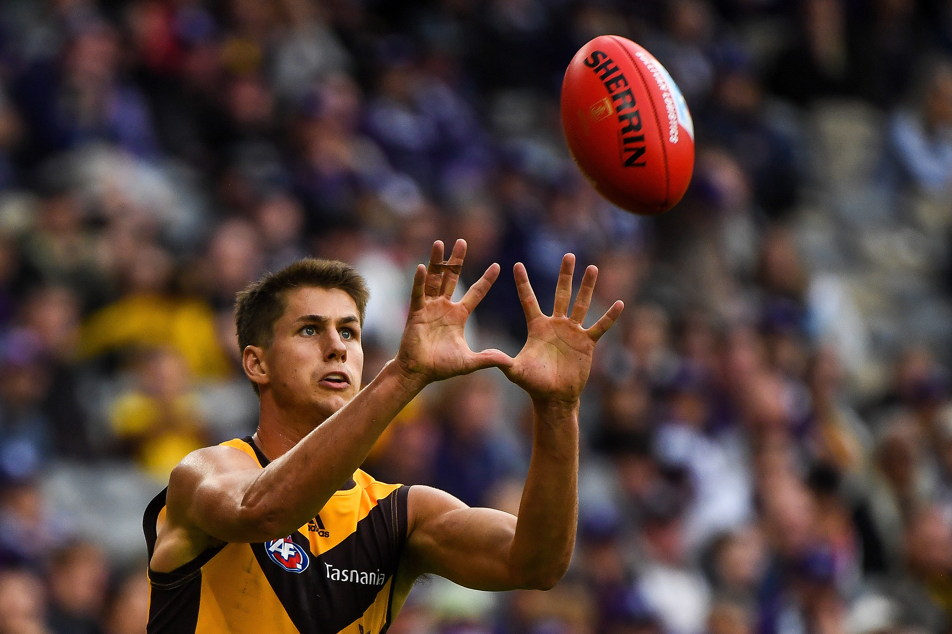 Season Snapshot: Daniel Howe