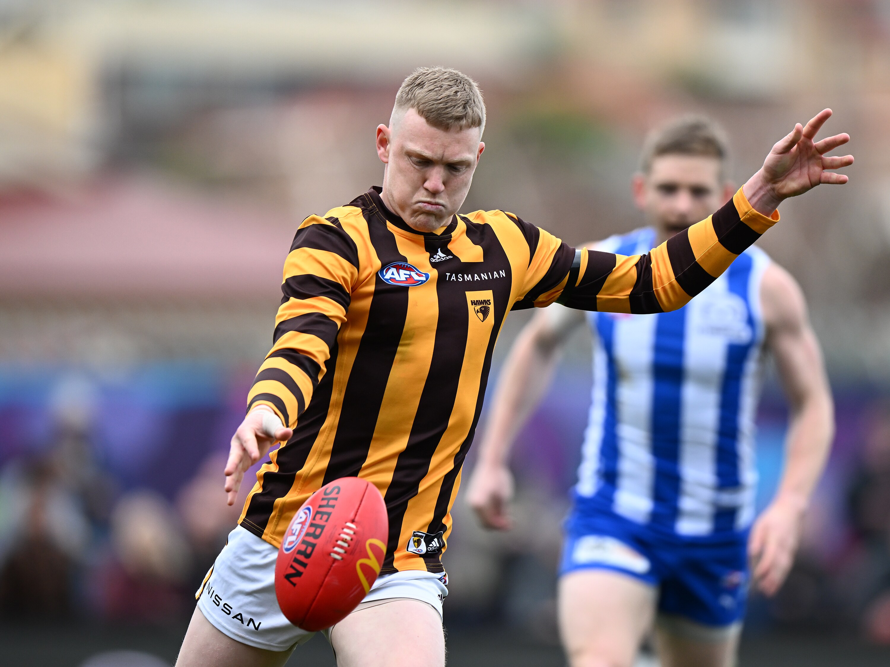 Hawthorn's stat leaders in 2022