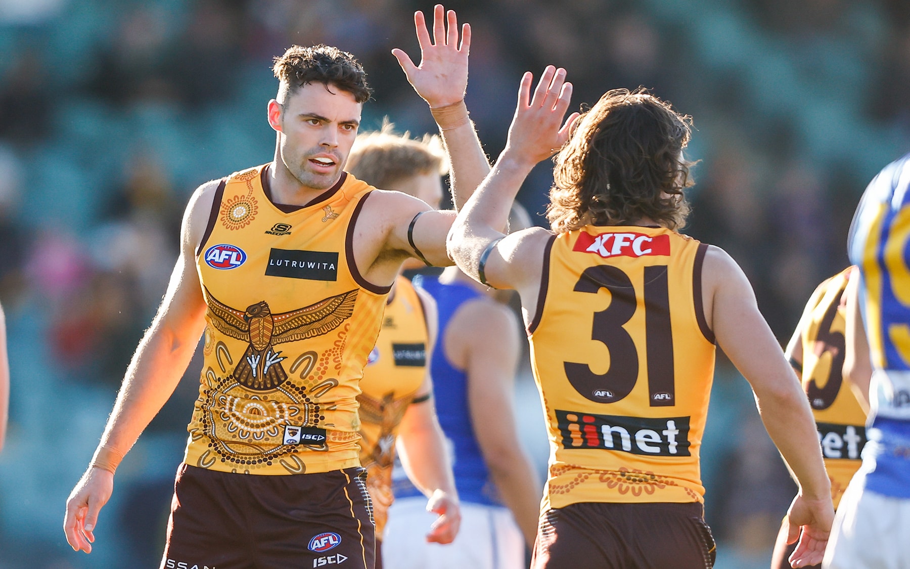 Hawks complete coaches votes clean sweep