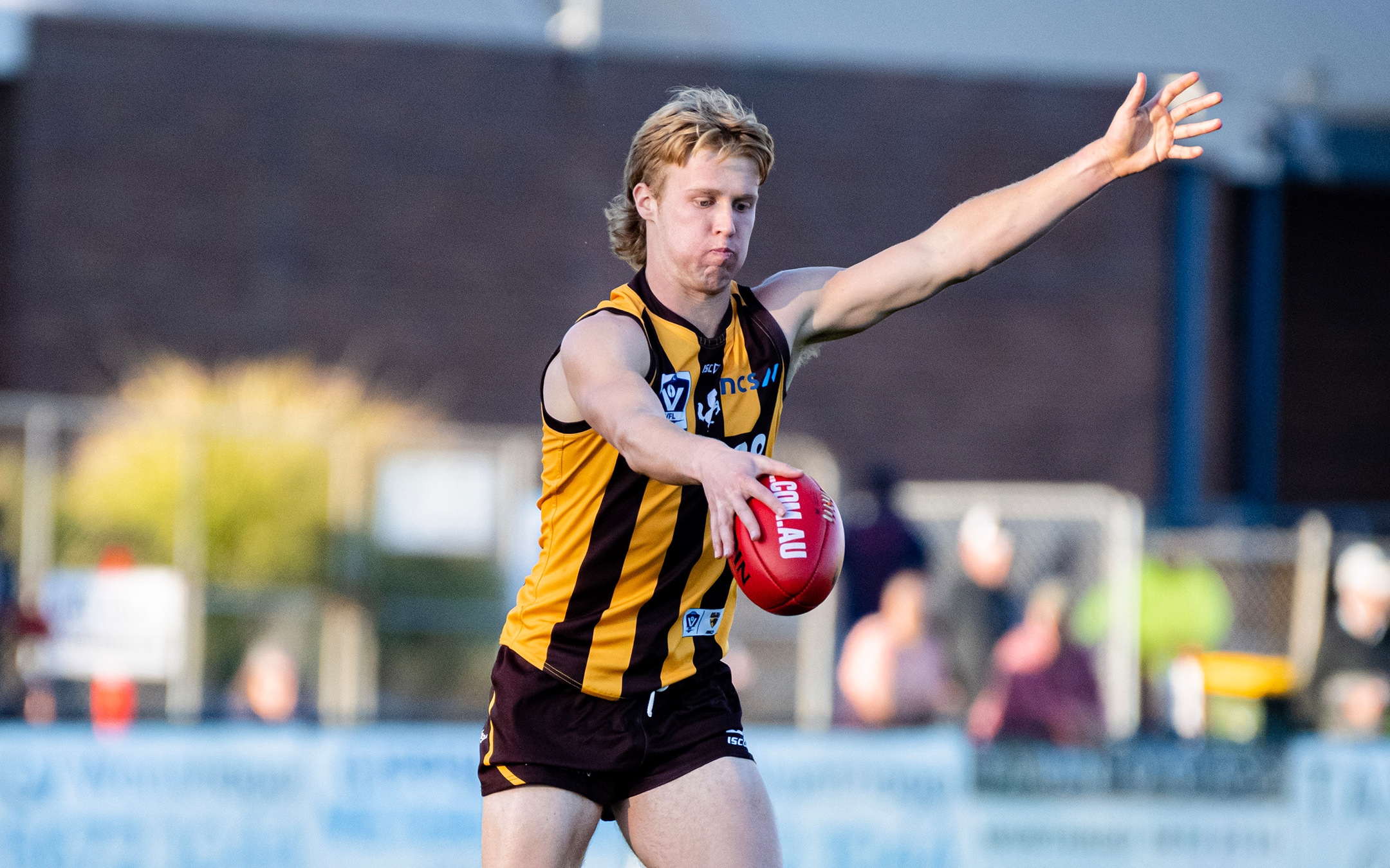 VFL player by player: Which AFL Hawks starred?