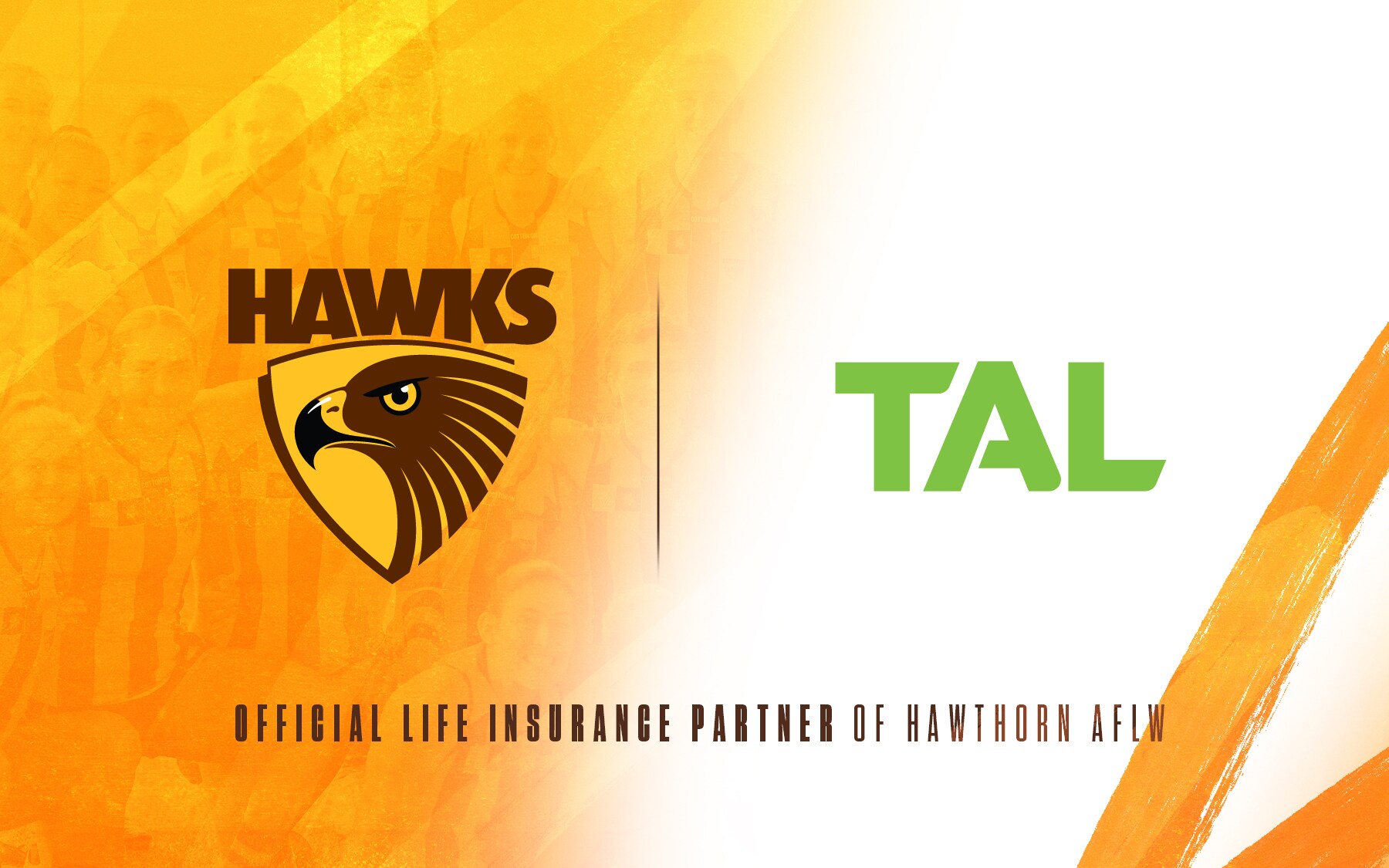 TAL partners with AFLW Hawks as official life insurance partner