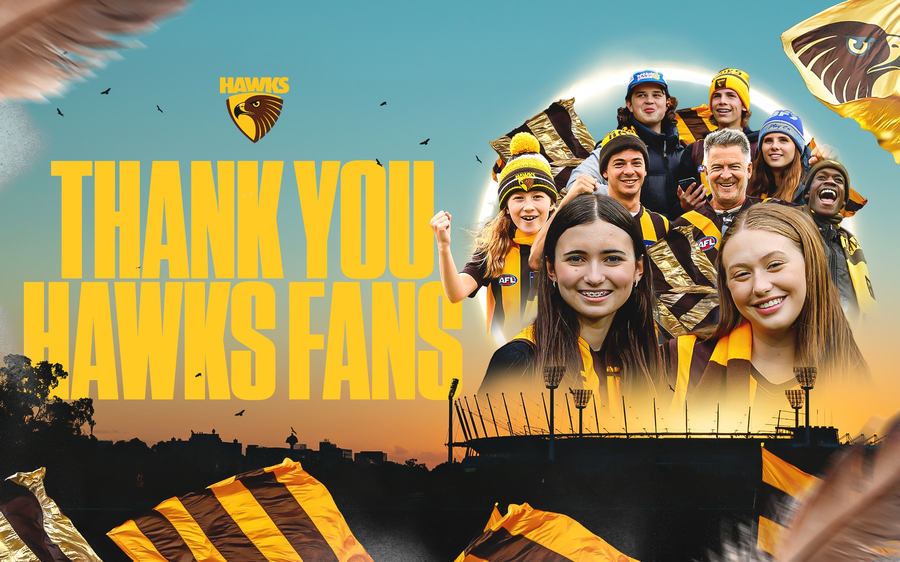 Hawks flock in record numbers