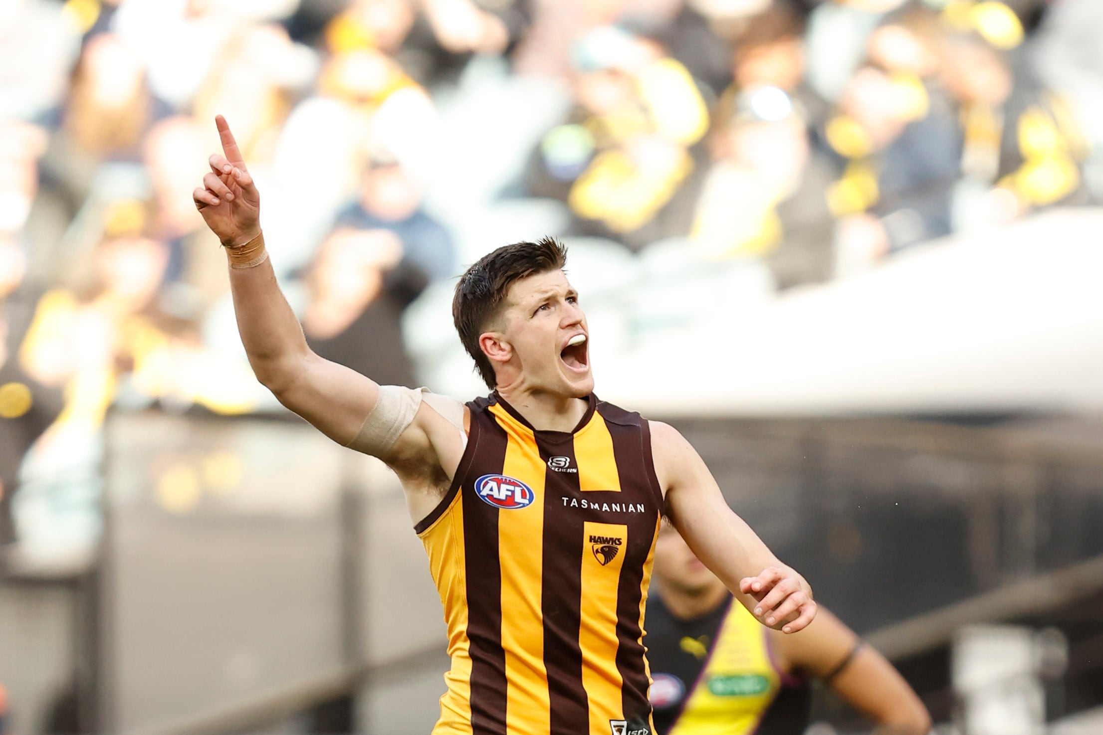 2023 in Summary: Mitch Lewis