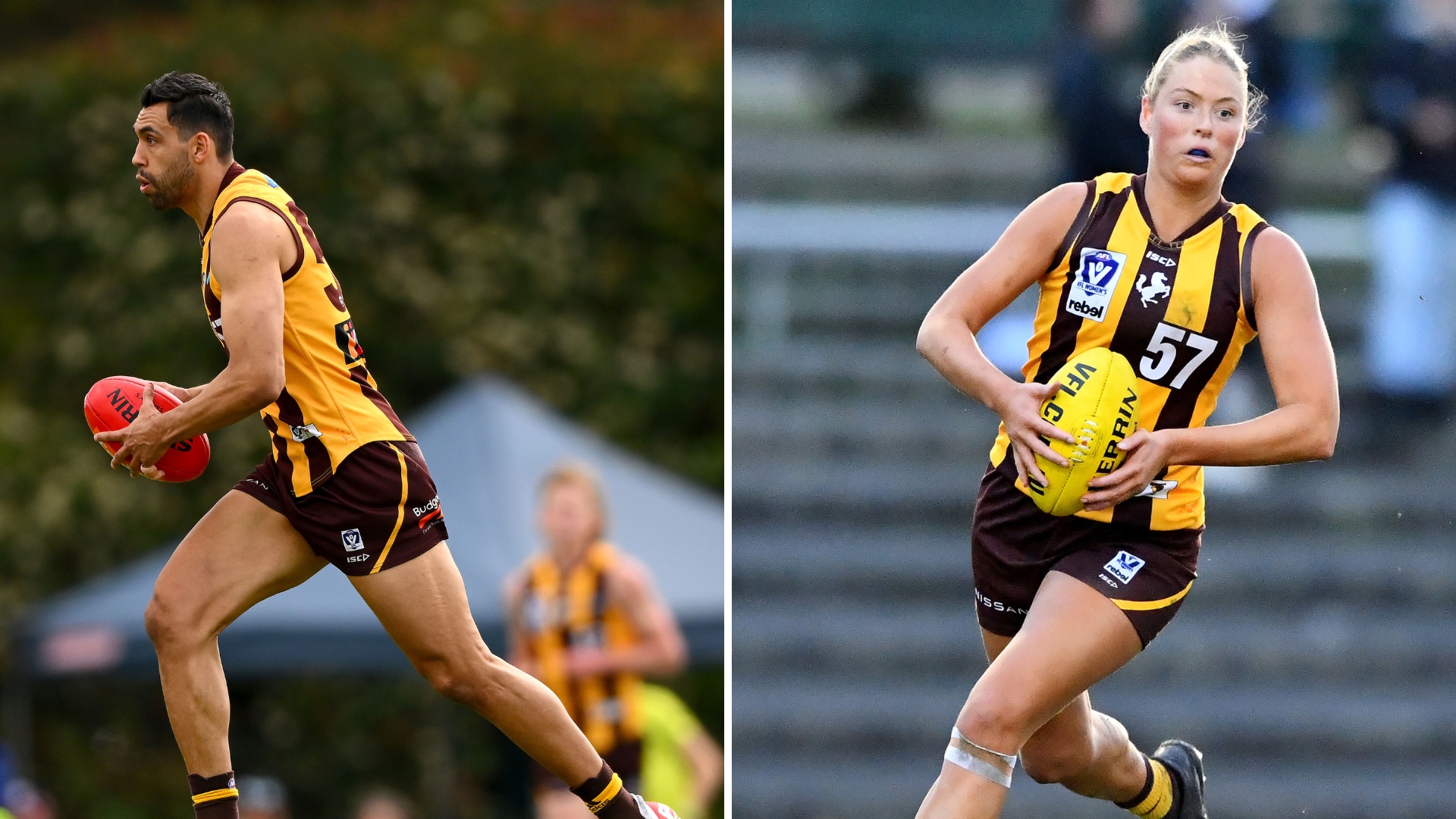 Box Hill's 2024 VFL and VFLW fixtures released
