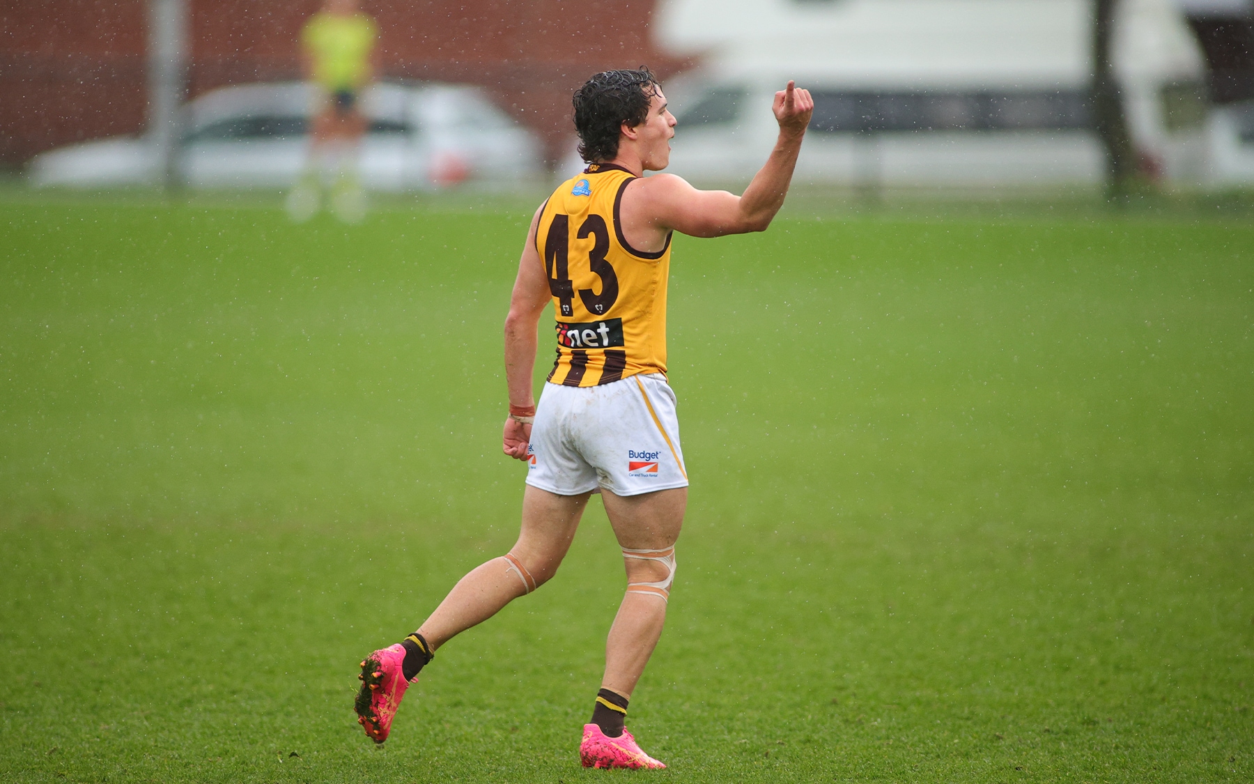 VFL Player by Player: Hawks bounce back against Roos