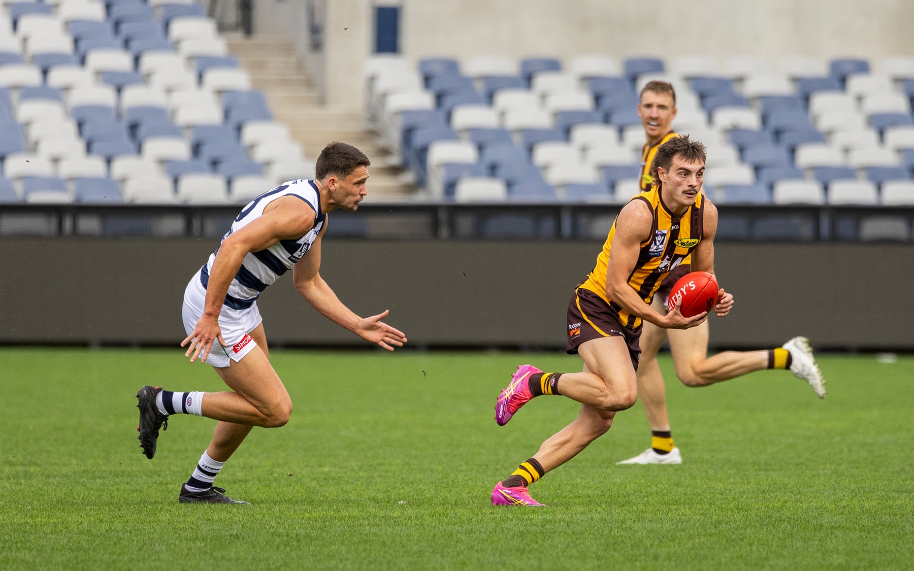 VFL Match Report: Hawks topple Cats