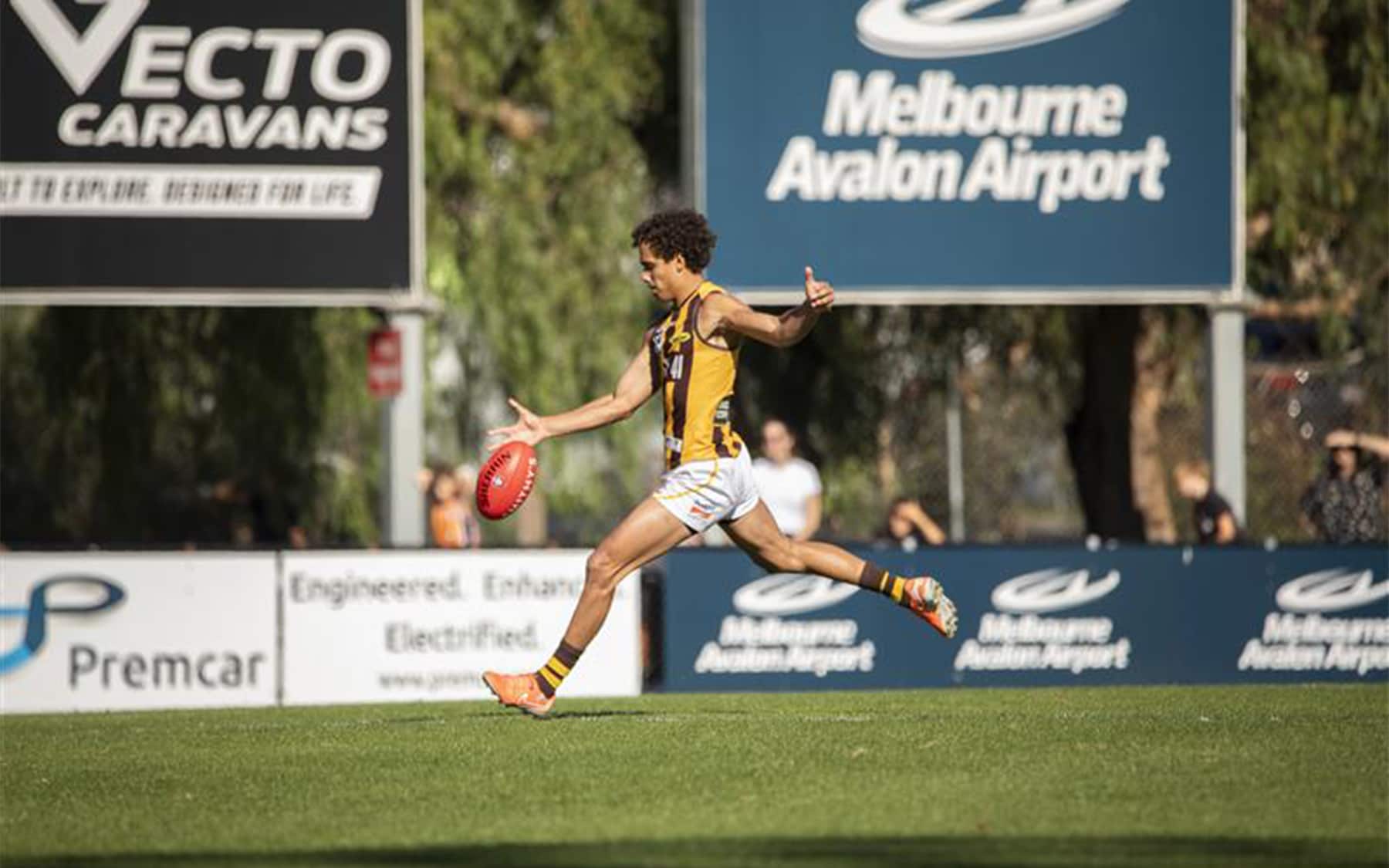 VFL Player by Player: How AFL Hawks performed against Werribee