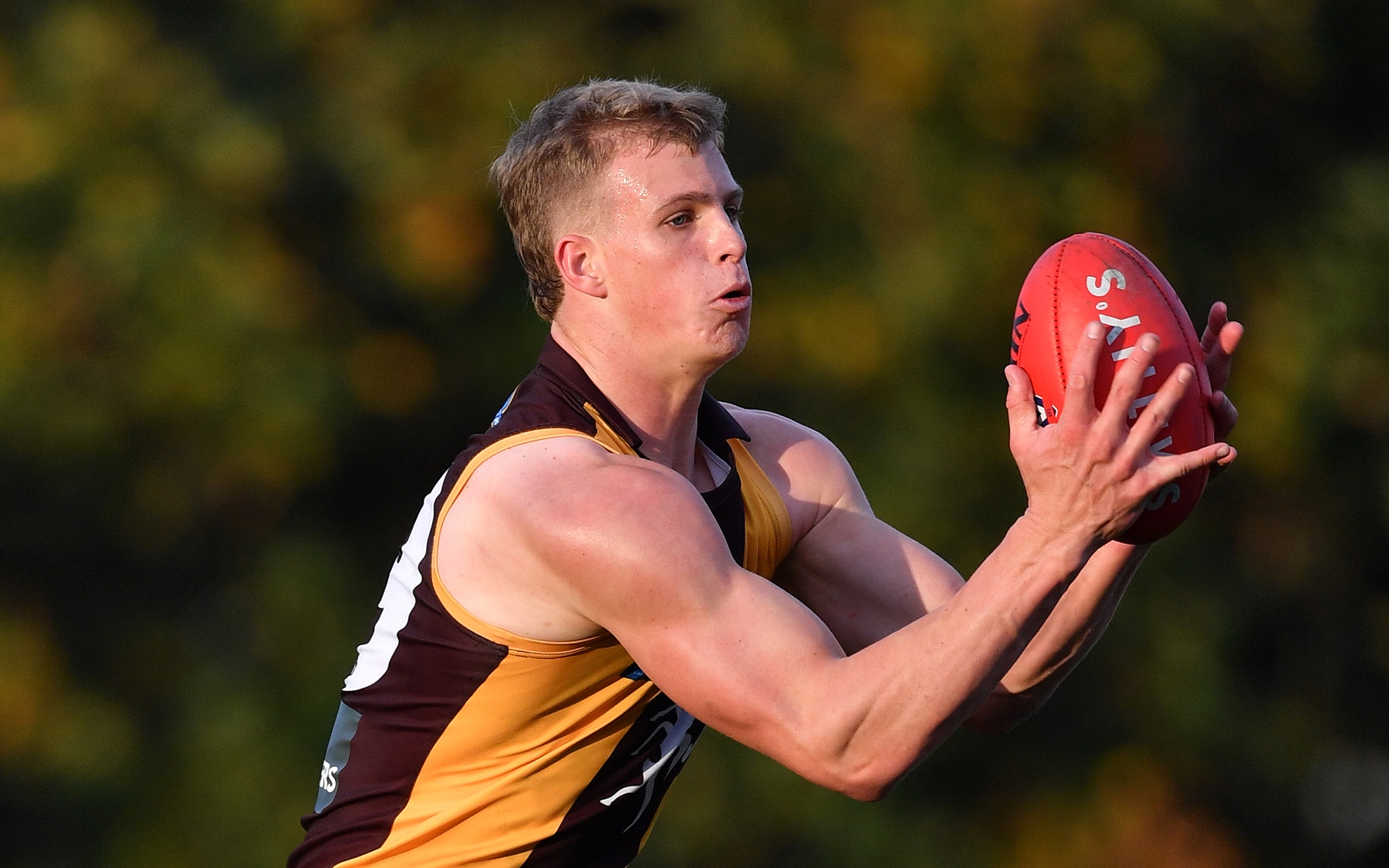 VFL Player by Player: Hawks continue strong form