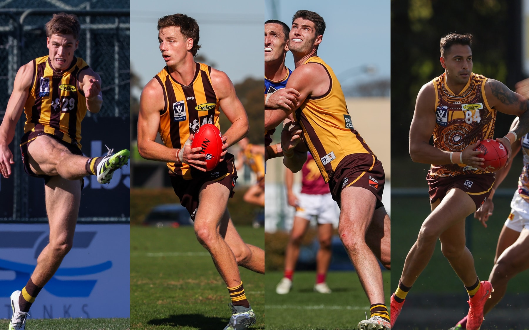 VFL Team of the Year SQUAD: Quartet of Hawks named