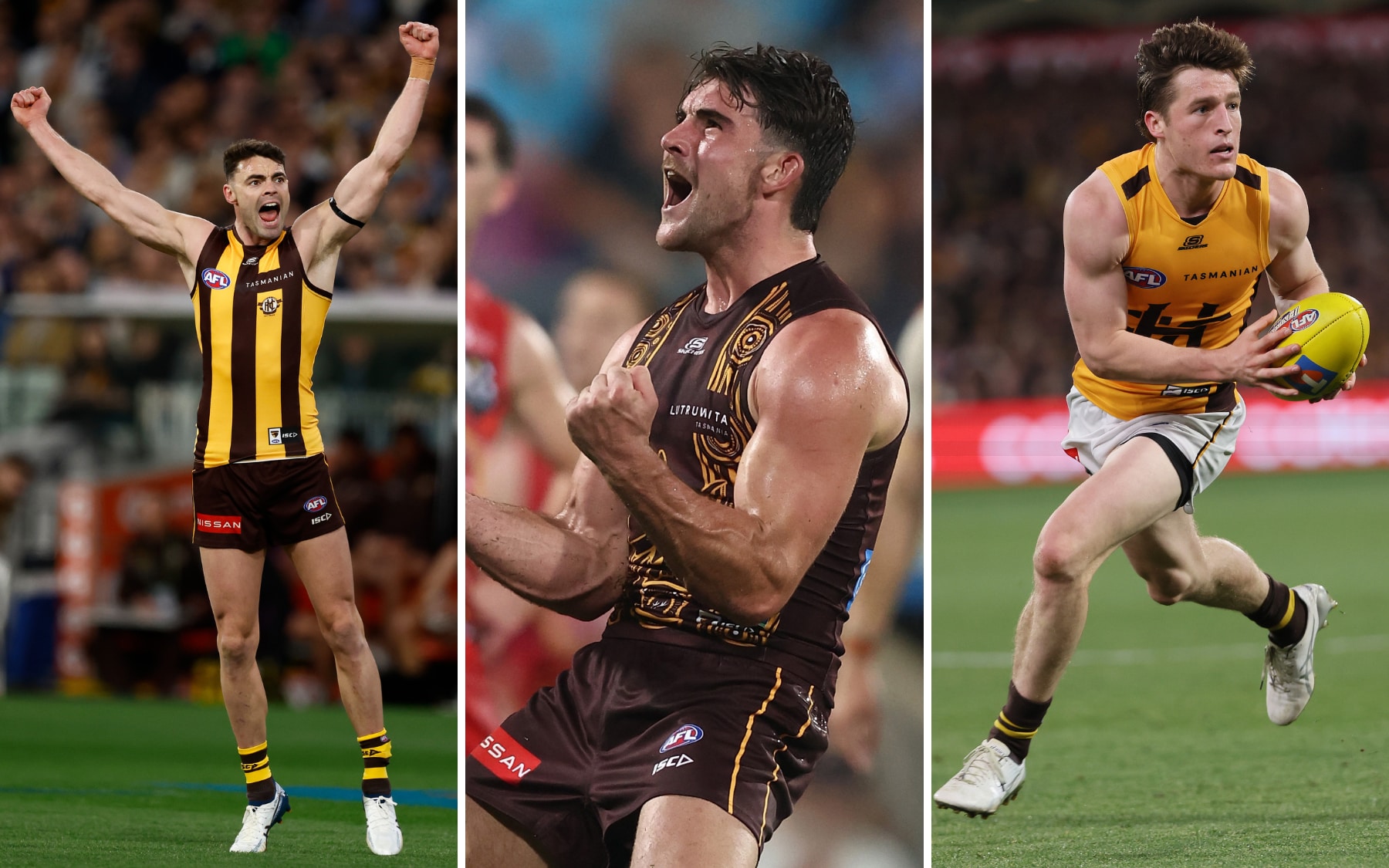 2025 AFL season reviews: David Hale analyses the midfielders