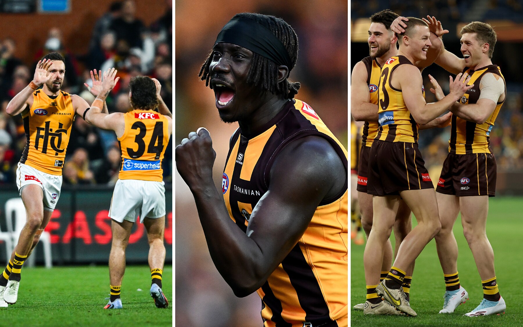 2025 AFL season reviews: Adrian Hickmott assesses the forwards