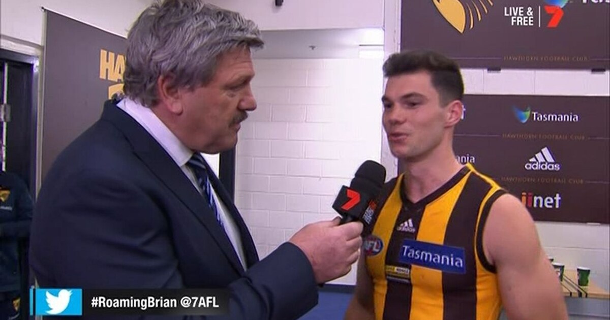 Hawk in Team of the Week