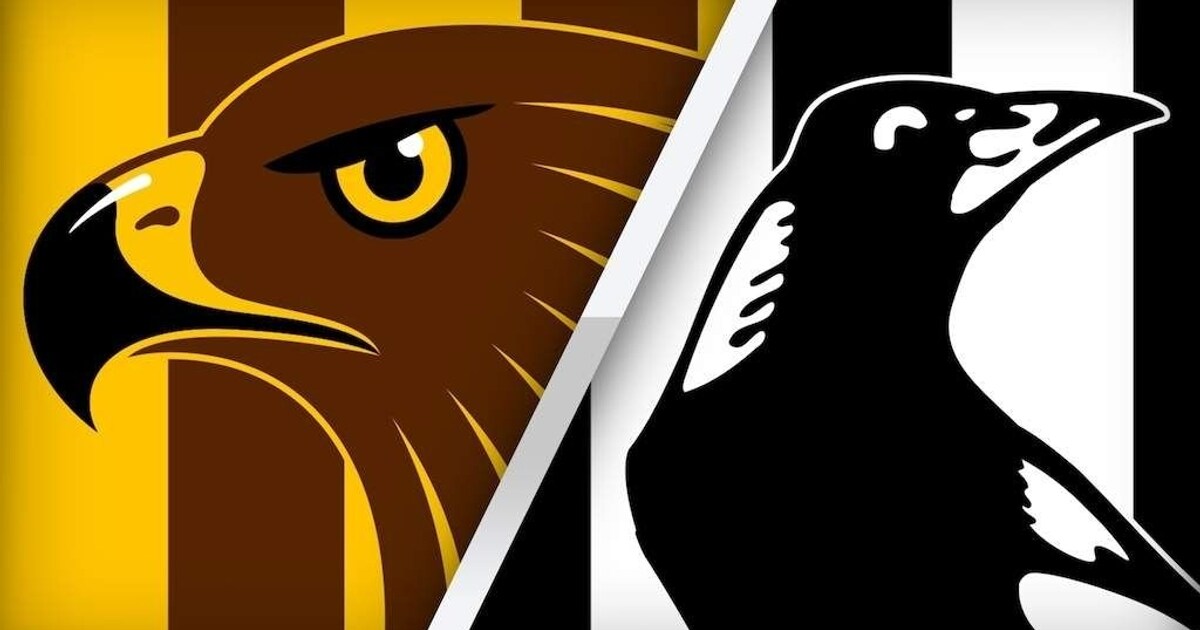 Hawks in Team of the Week