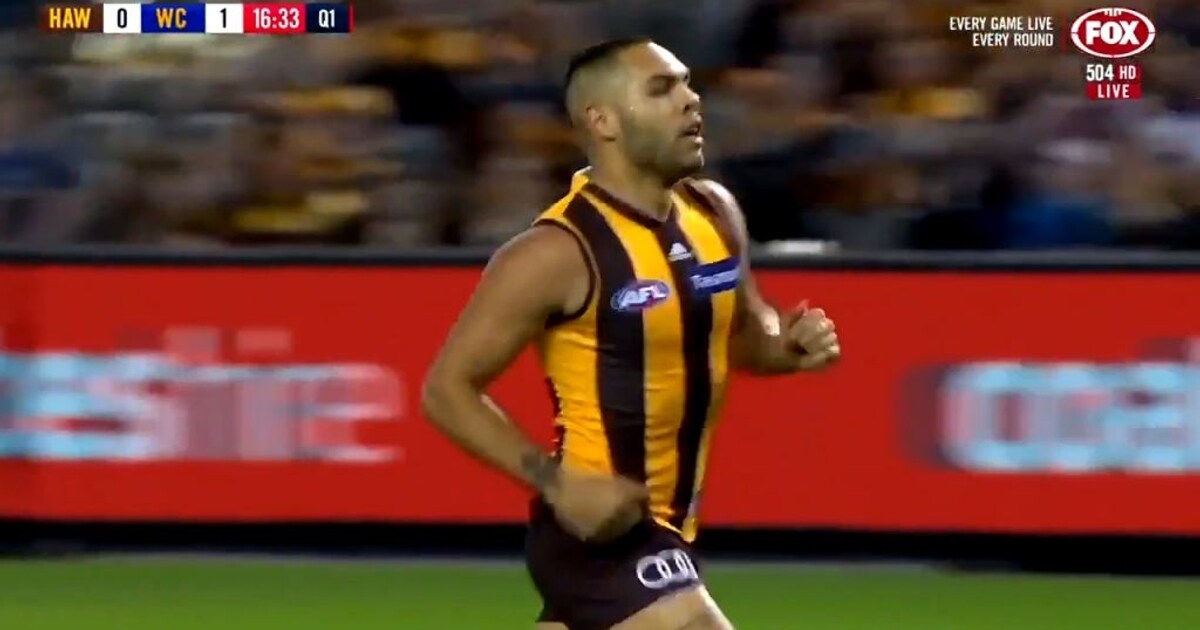 Hawthorn's Indigenous talents