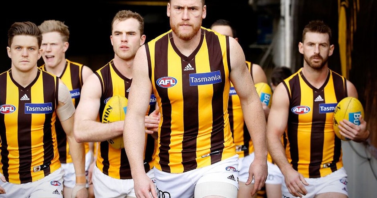 Hawthorn's 2017 top 10