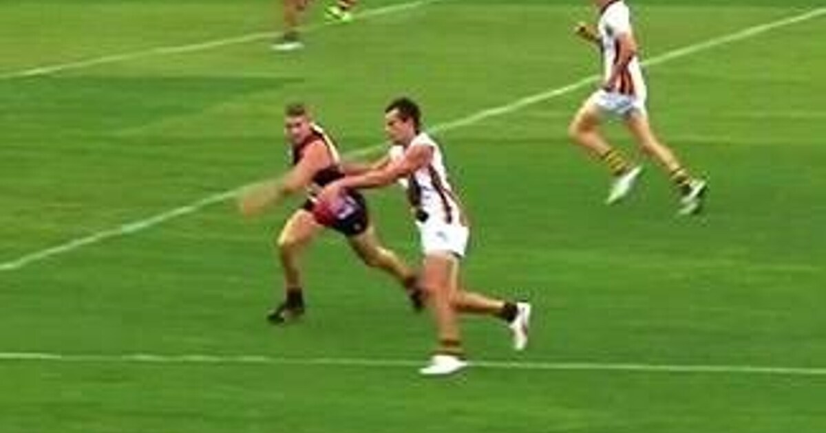 Hodge helps Box Hill to win over Casey