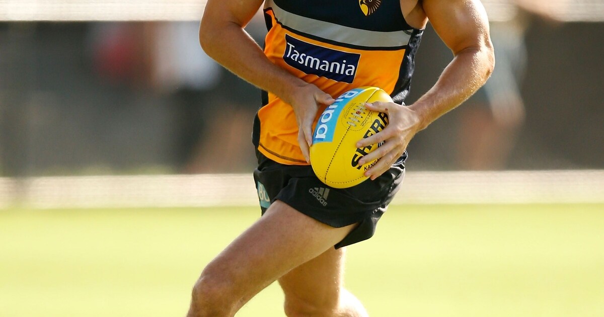 Hodge, Hawks ready for Cat challenge