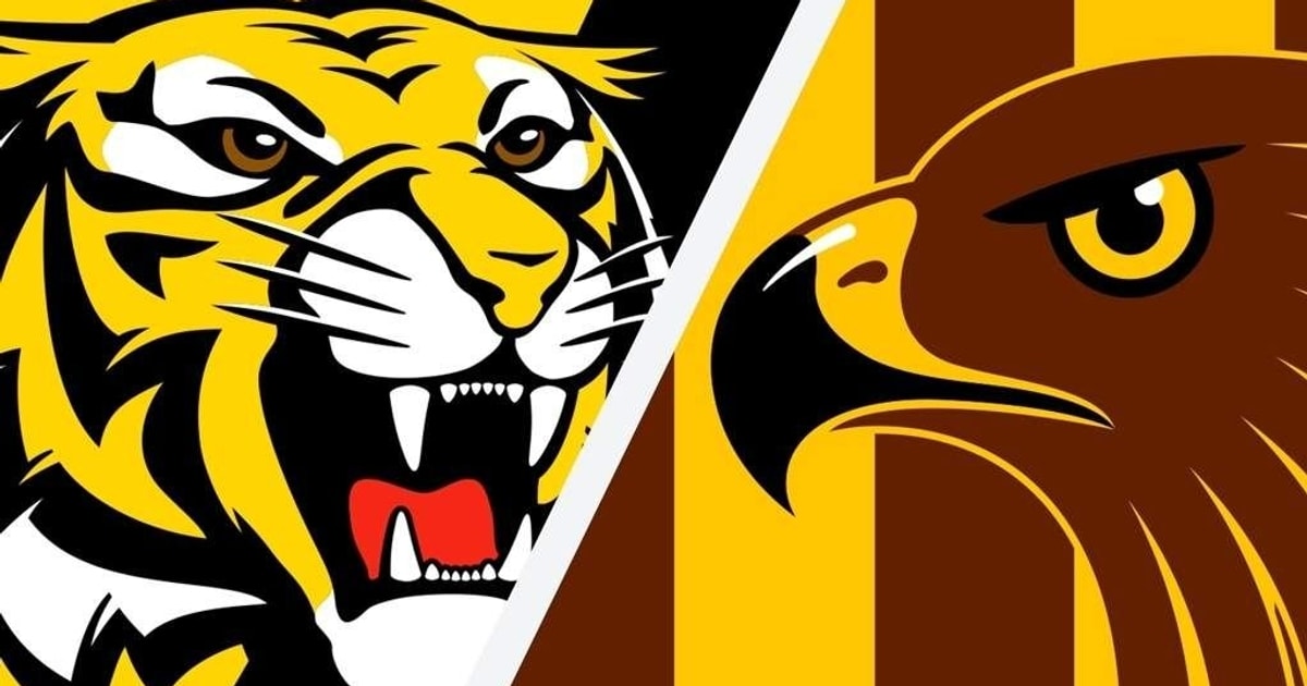 Match Highlights: Hawks V Tigers