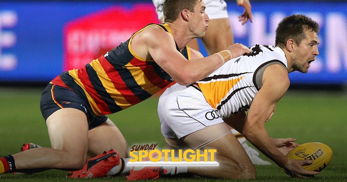 Sunday Spotlight: The sounds of Hodgey