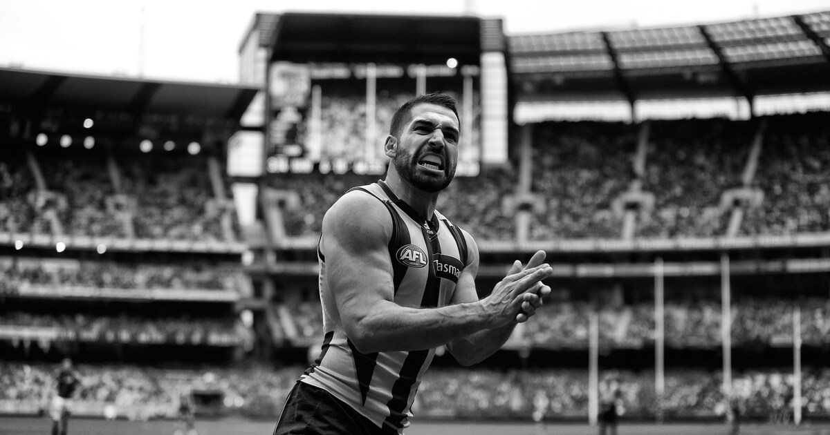 Poppy's career in pictures