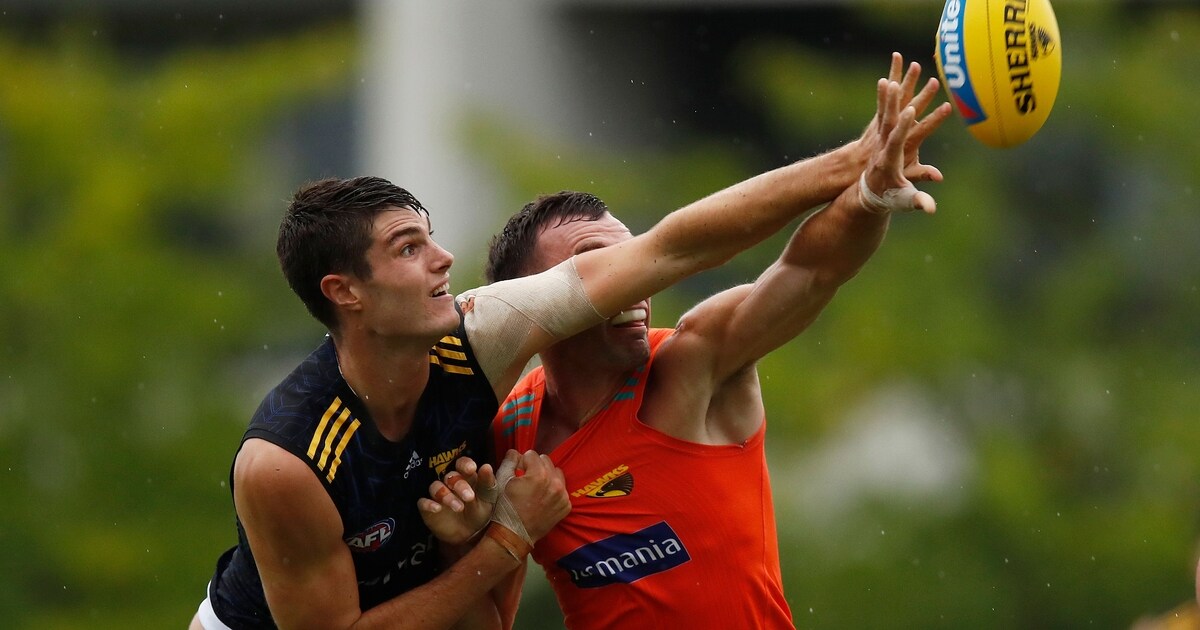 Season Spotlight: Ned Reeves