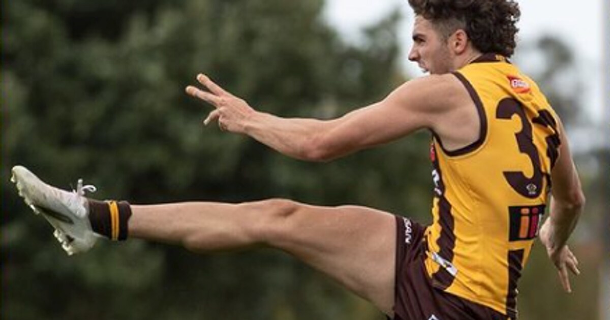 VFL player by player: A rundown of our reserves in final rehearsal