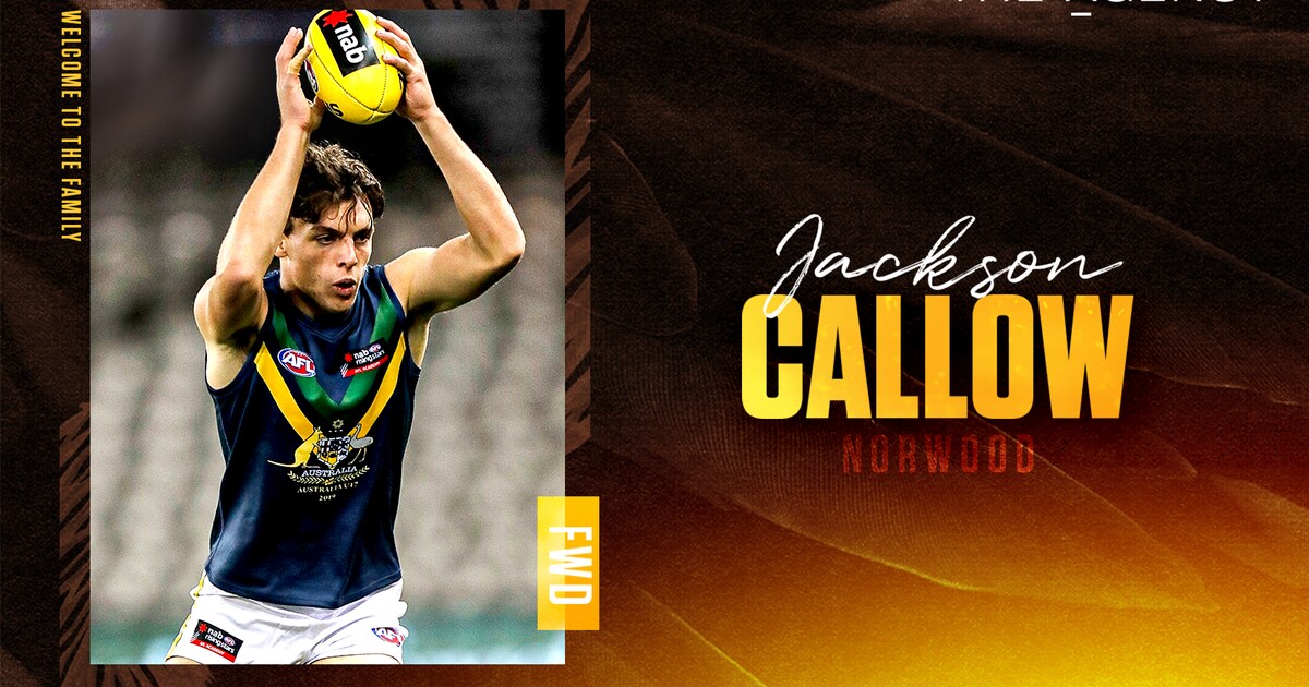 Callow finds a home with the brown and gold