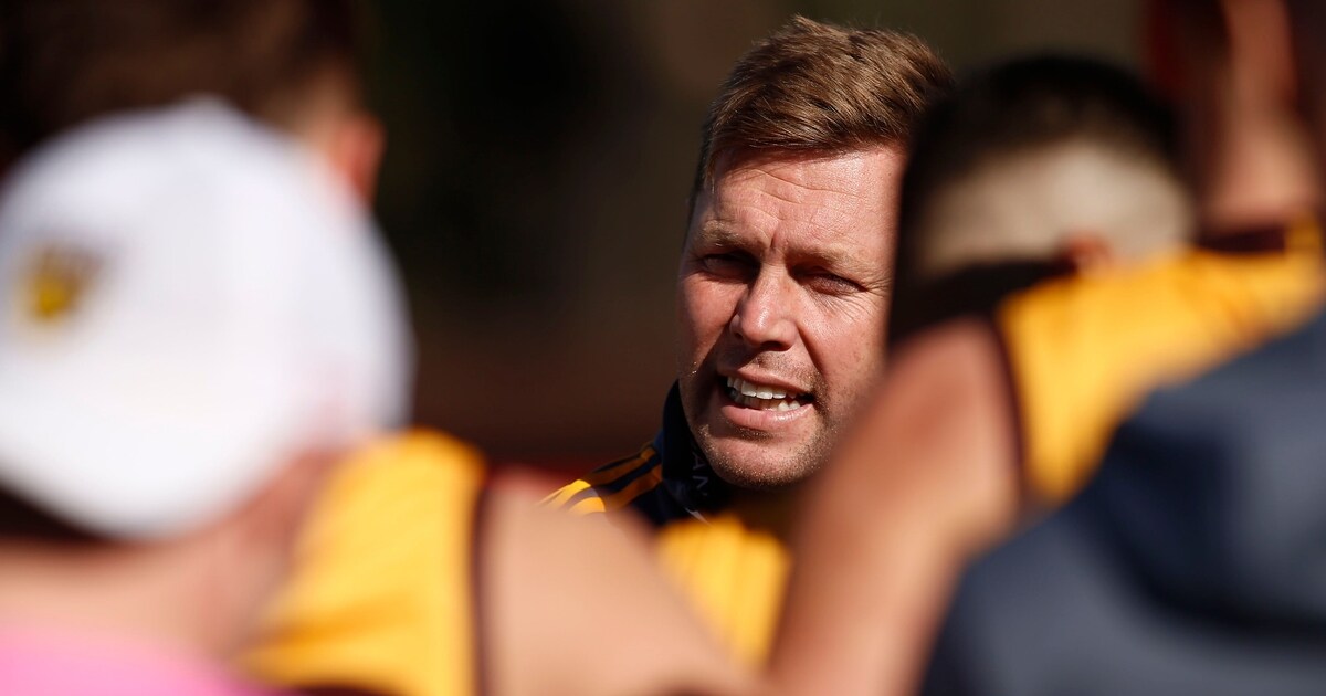 Sam Mitchell speaks on his plans for Hawthorn
