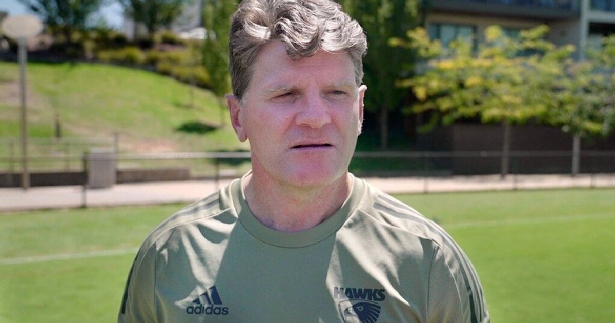 Harvey finds plenty of promise in the brigade