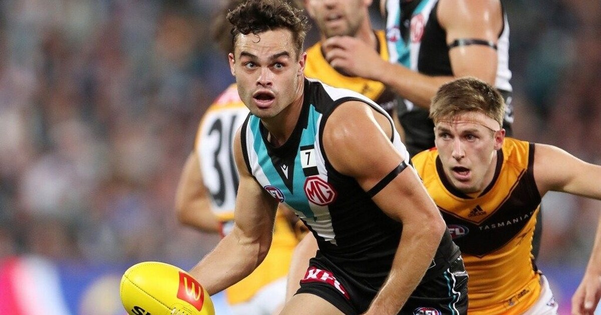 Karl Amon highlights