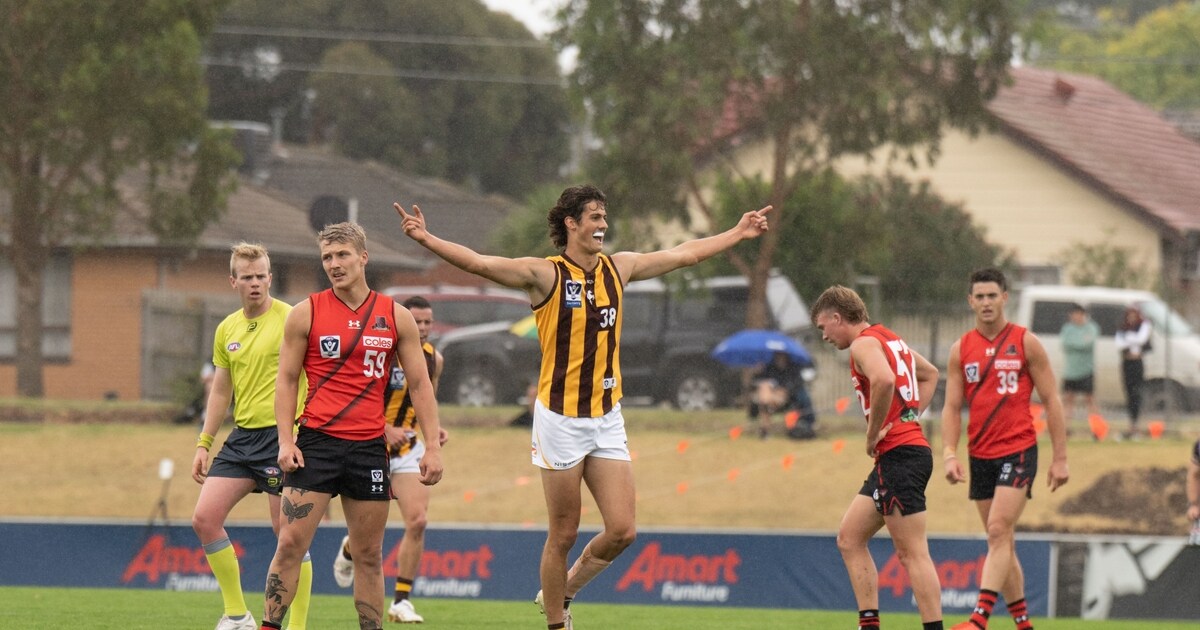 VFL player by player: Littlejohn reviews every listed Hawk