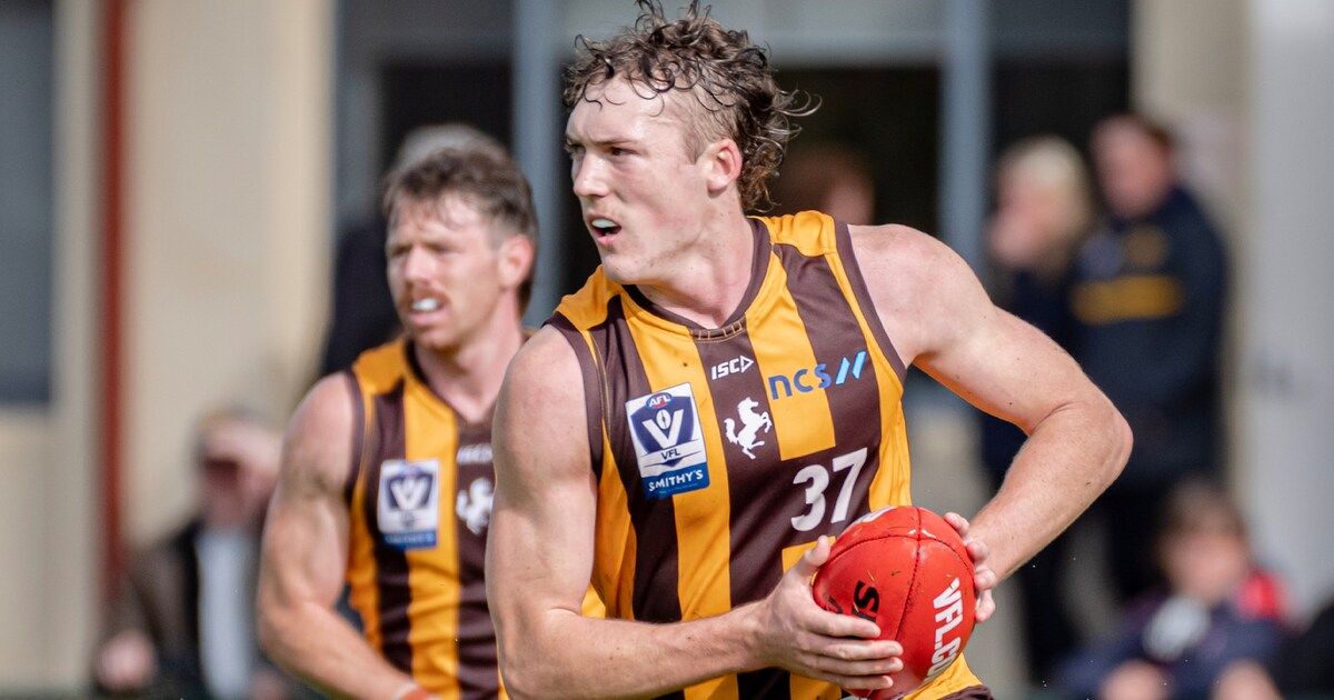 VFL player by player R4: A review of each AFL-listed Hawk