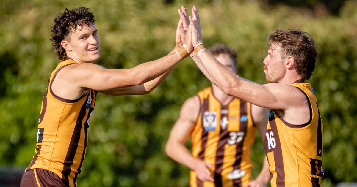 VFL player by player R5: A review of each AFL-listed Hawk