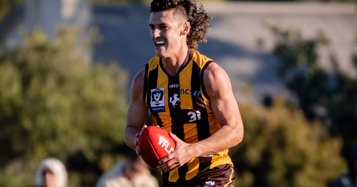 VFL player by player R6: Each senior-listed Hawk in review