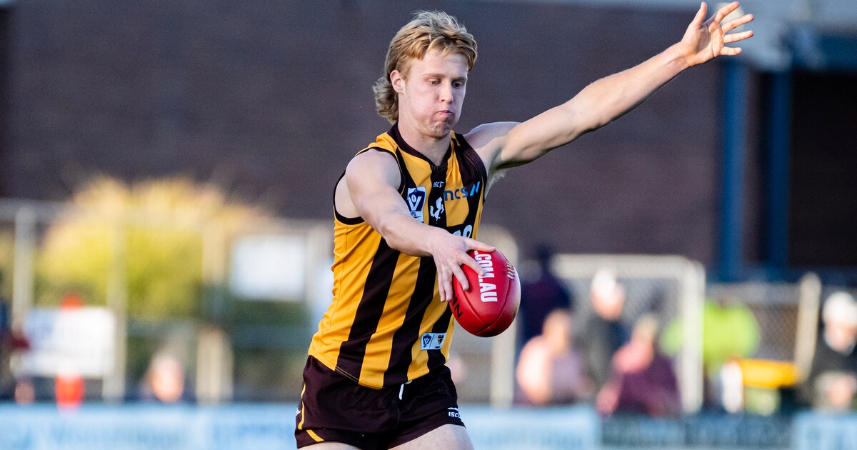 VFL player by player: Which AFL Hawks starred?