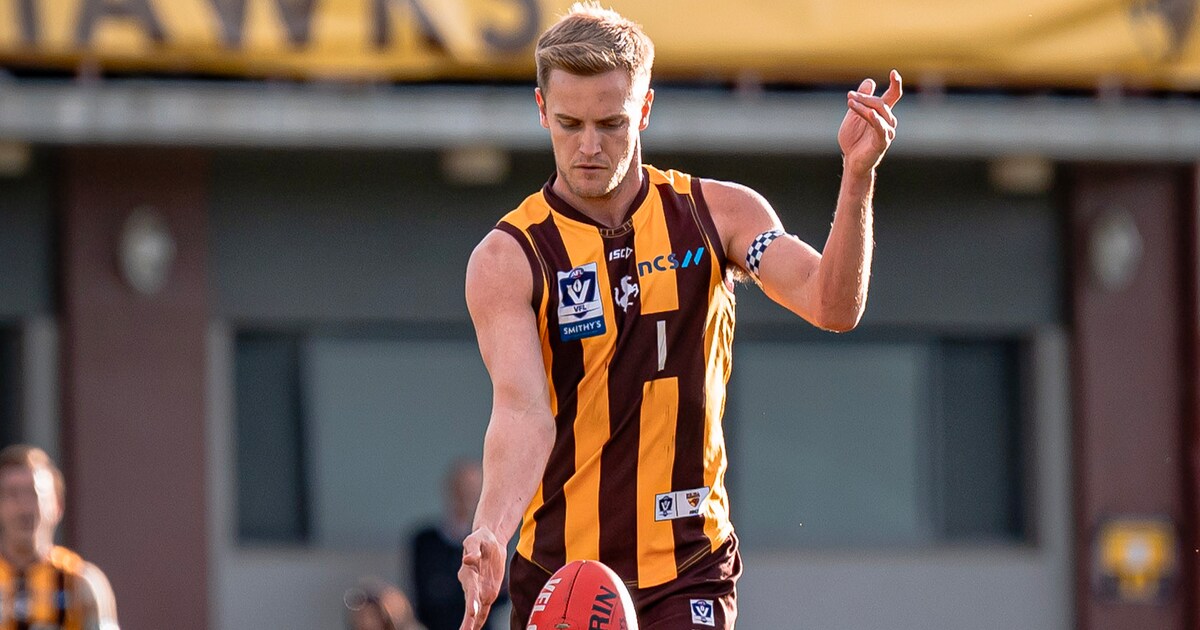 VFL player by player: Each AFL Hawk in review