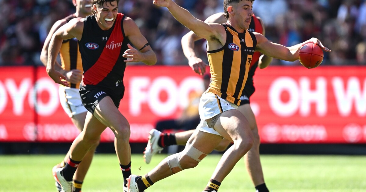 D'Ambrosio impresses coaches in Hawks debut