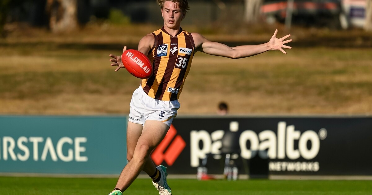 VFL pre-season wrap: Hawks finish strongly over Dons