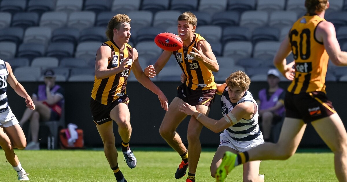VFL player by player: Which AFL Hawks stood out?