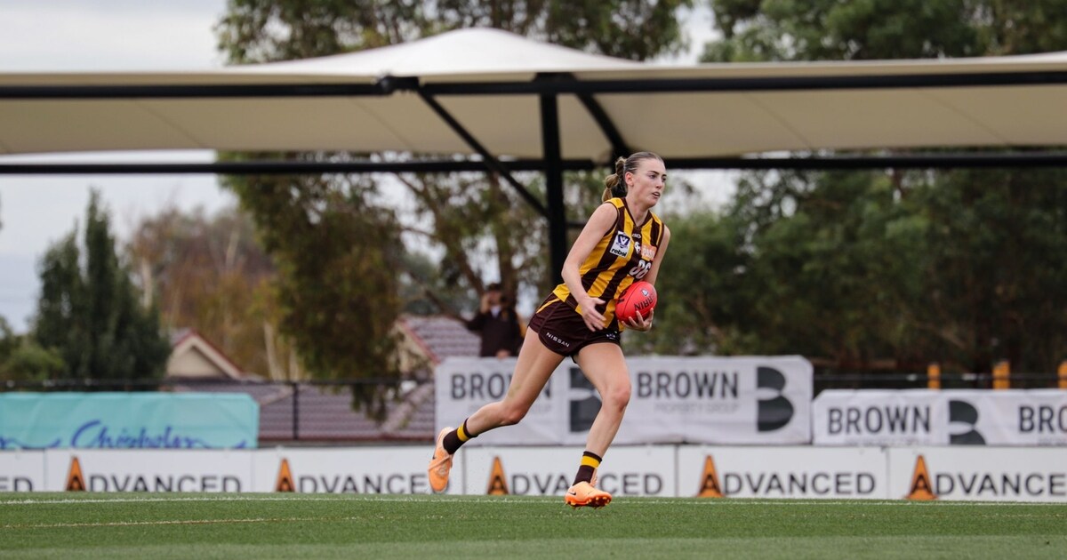 VFLW player by player: Which AFLW-listed Hawks stood out?