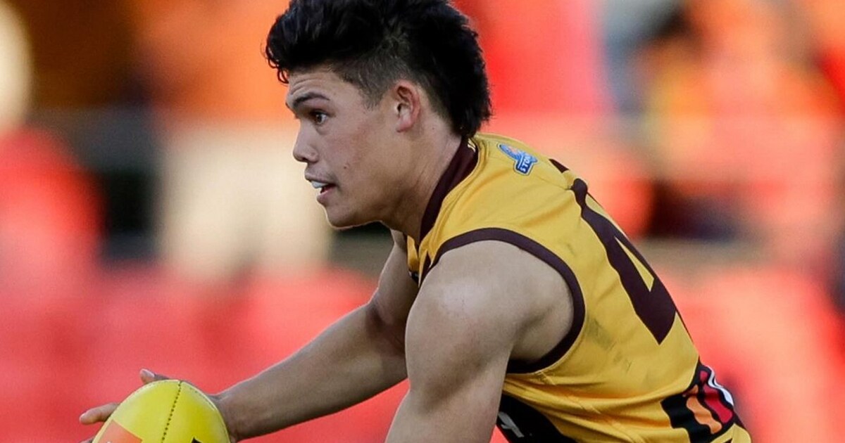 VFL player by player: 11 AFL-listed Hawks reviewed