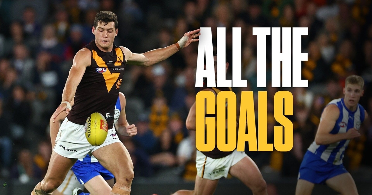 Every One Of Hawthorn's Goals Against North Melbourne!