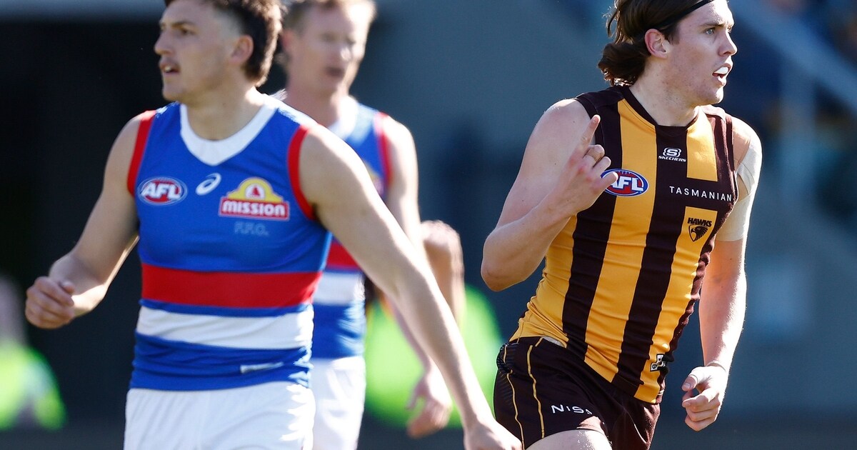 Footy Flashbacks: Hawks history against the Dogs